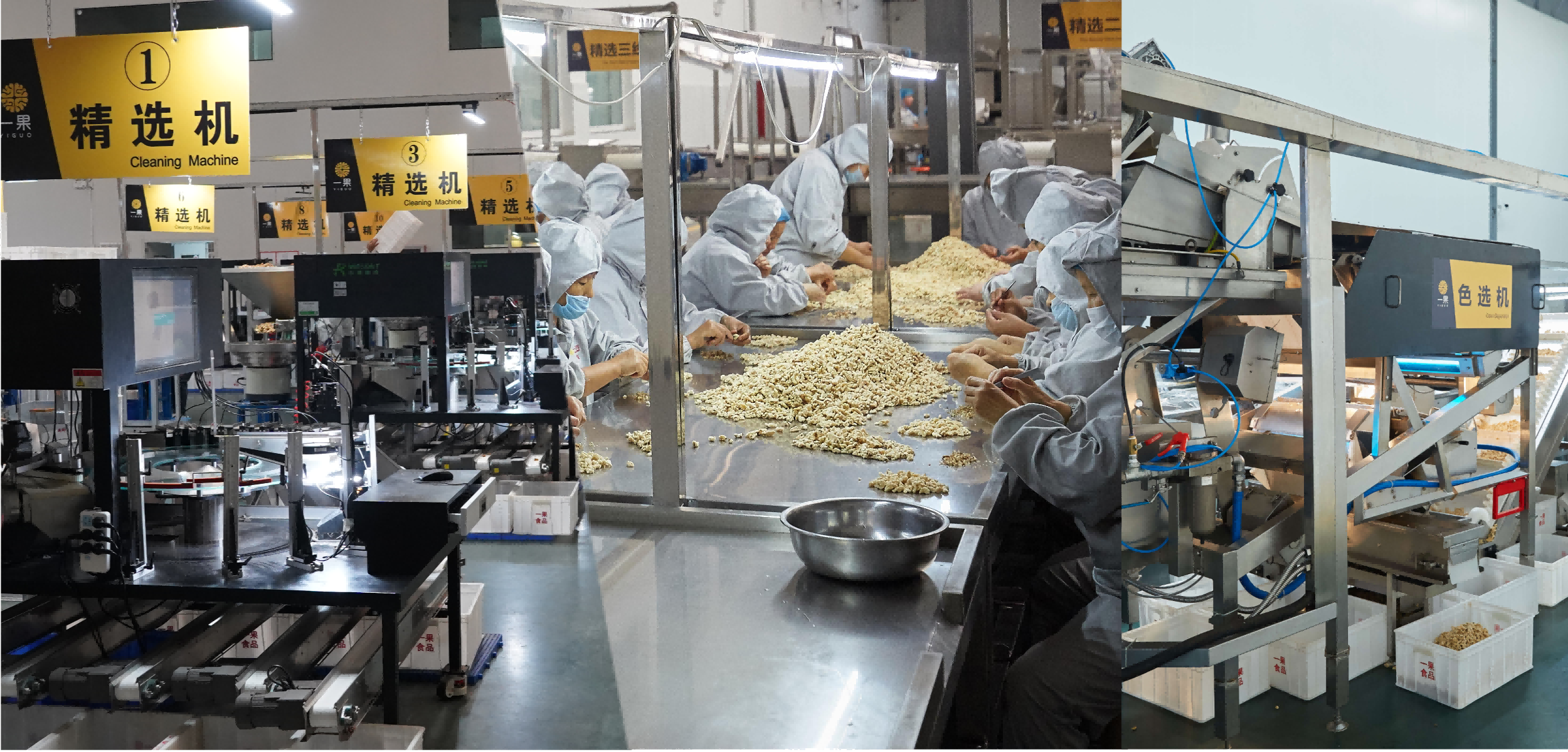 Washed Walnut Suppliers,Walnut Kernels export trade,China Walnut,Yiguo ...